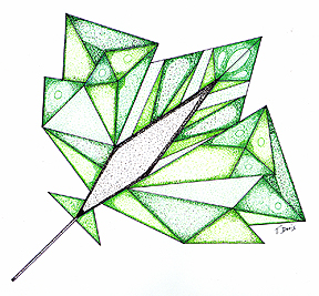 Leaf Designs by Tim